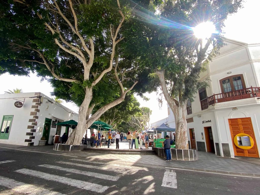 Haria tourist information guide - Lanzarote Tourist Guide