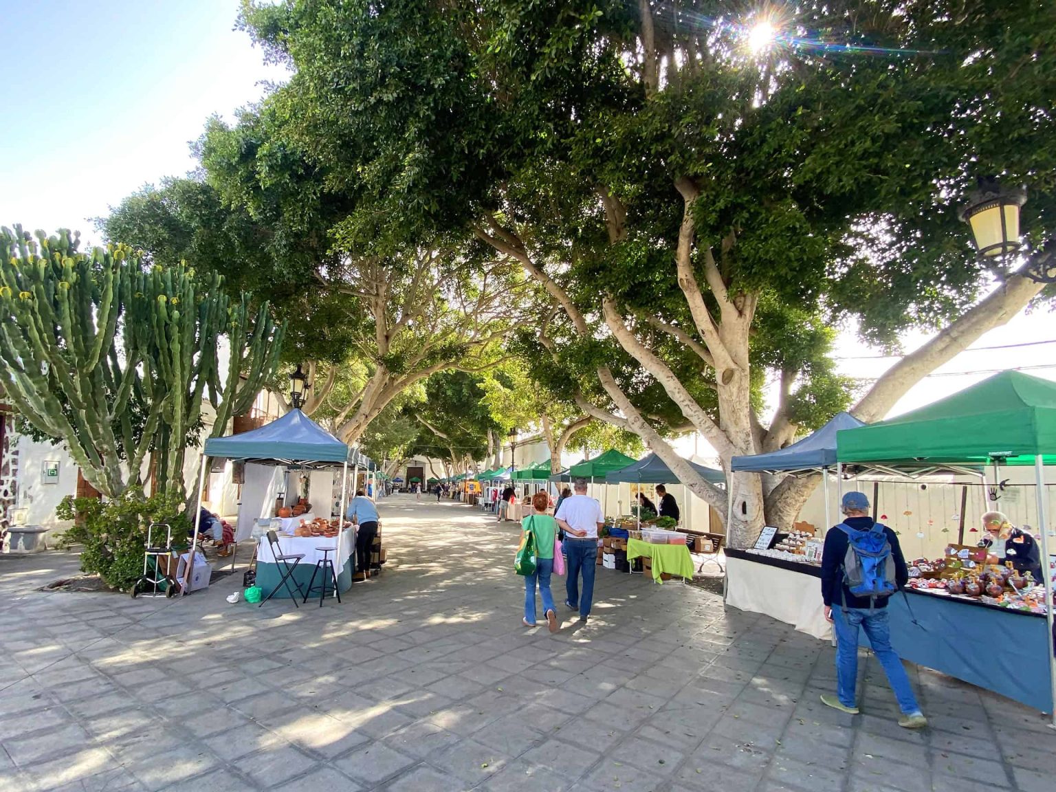 Haria tourist information guide - Lanzarote Tourist Guide